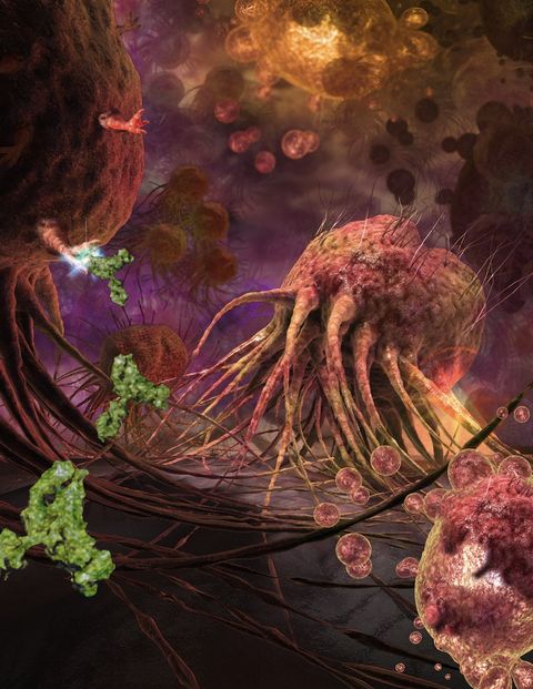 Gallery: Vivid Science Visualizations | Live Science