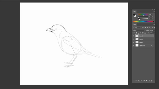 How to draw a bird | Creative Bloq