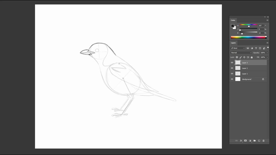 How to draw a bird | Creative Bloq