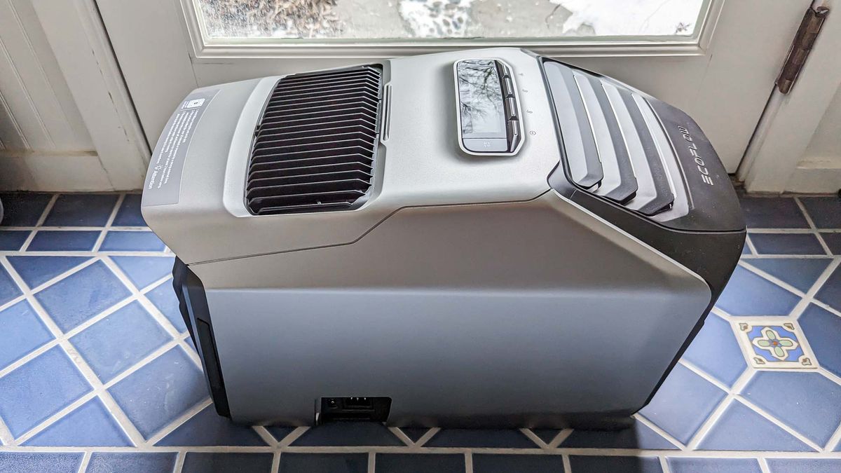EcoFlow Wave 2 smart heat pump review: A device for all seasons | Tom's ...