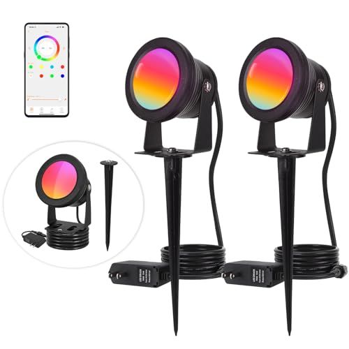 How to uplight a tree – expert methods | Homes and Gardens