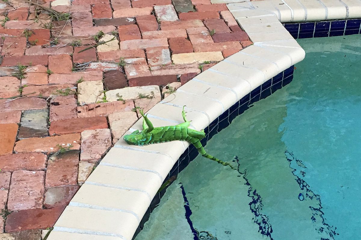 The Weirdest Things That Fell From The Sky | Live Science