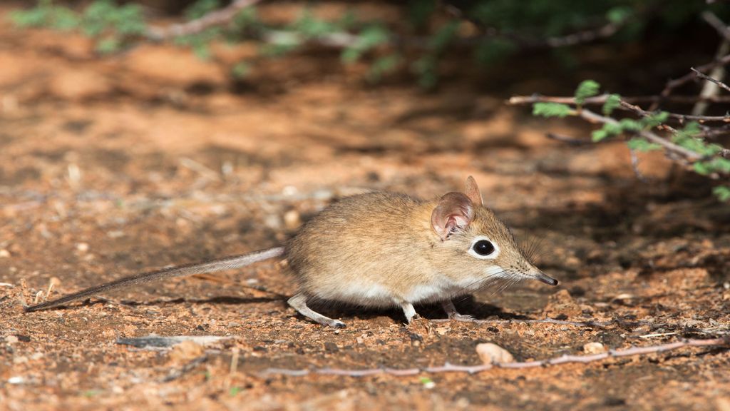 Live Science: The Most Interesting Articles, Mysteries & Discoveries