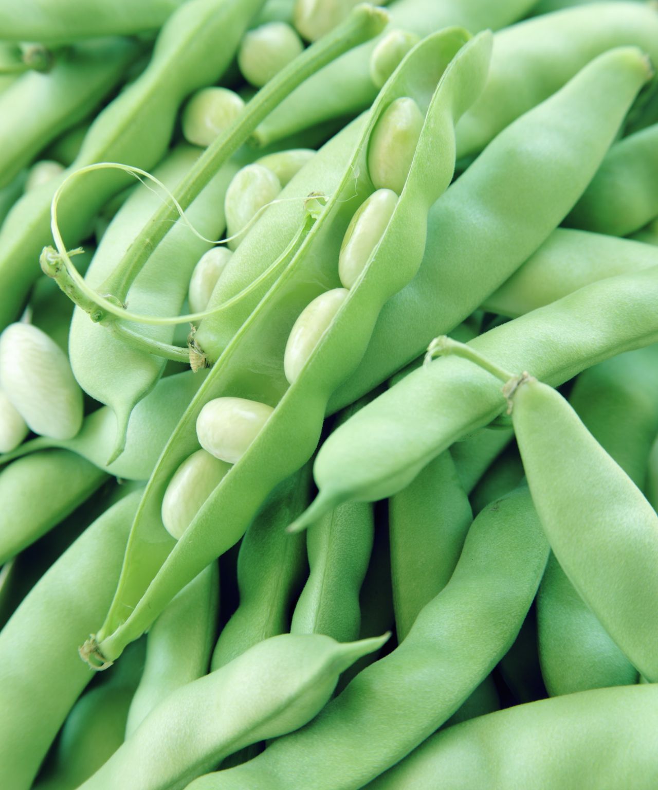 How to grow lima beans - expert tips for bumper harvests | Homes and ...
