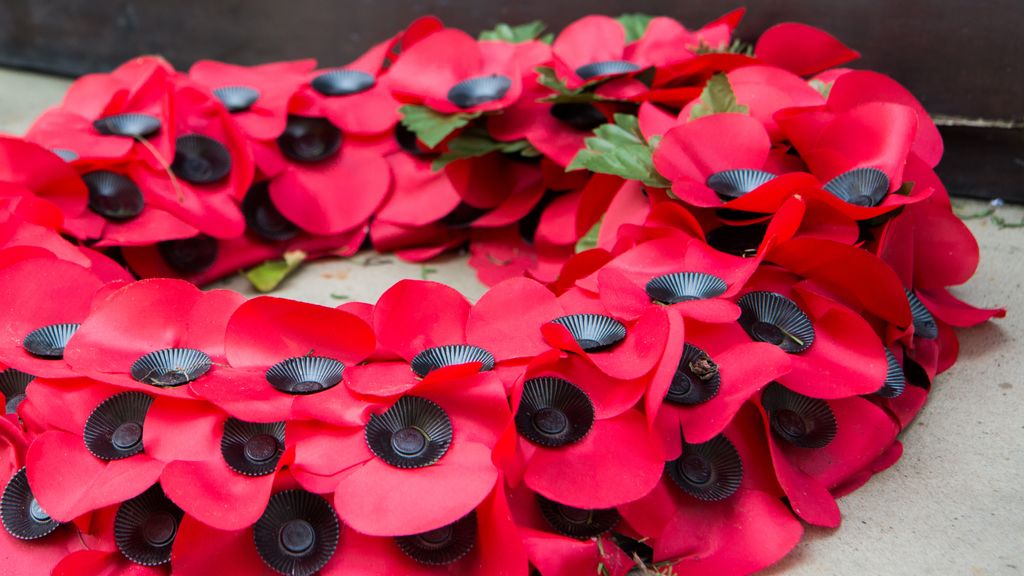 Which side do you wear a poppy on and what are different coloured ...