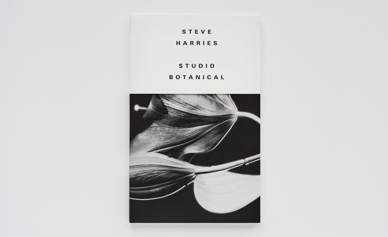 Steve Harries’ photobook is a stunning botanical exercise | Wallpaper