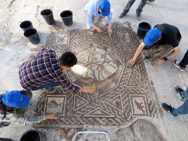 In Photos: 1,700-Year-Old Mosaic Once Adorned Israeli Courtyard | Live ...