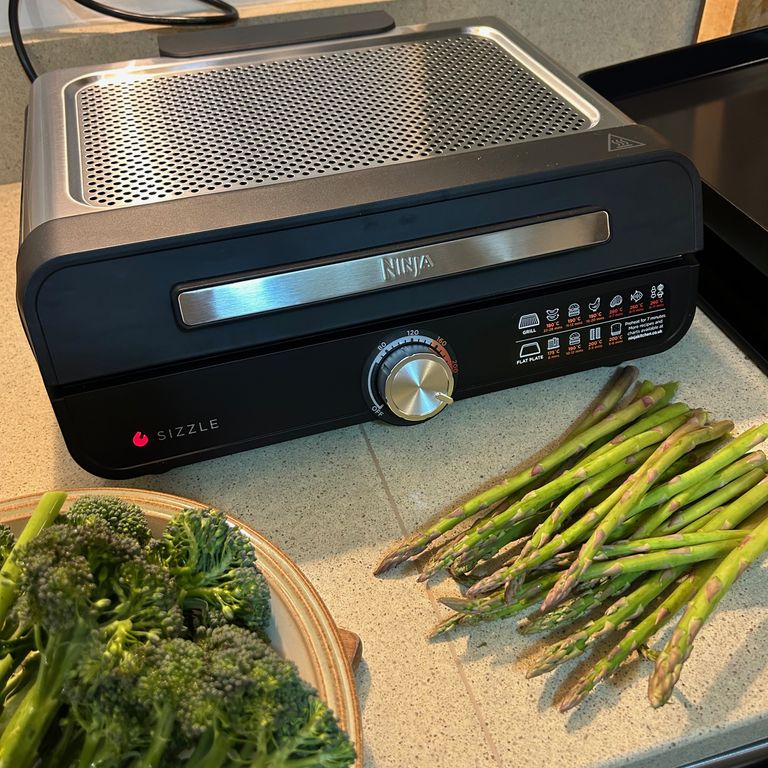 Ninja Sizzle Indoor Grill & Flat Plate Review: Will Ninja’s indoor ...