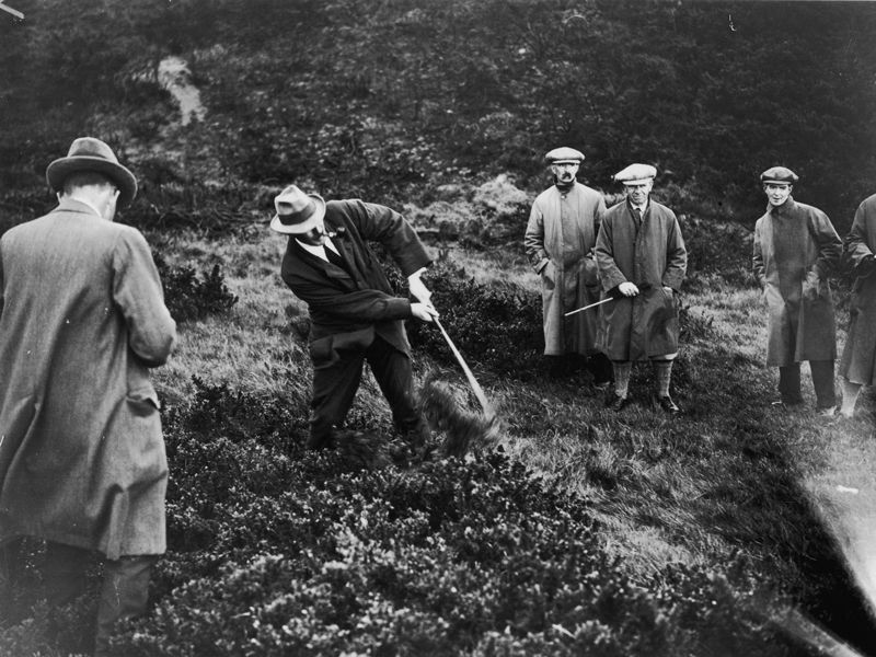 Five unusual golfing incidents | Golf Monthly