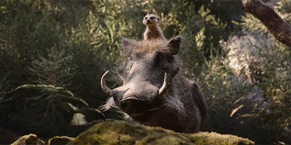 Despite Playing A Warthog, Seth Rogen Thinks The Lion King Is One Of ...