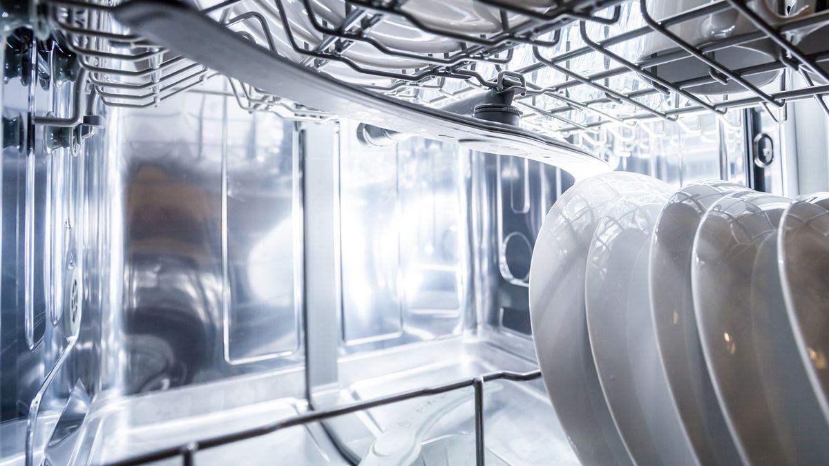 You asked: When is it time to replace a dishwasher? | Tom's Guide