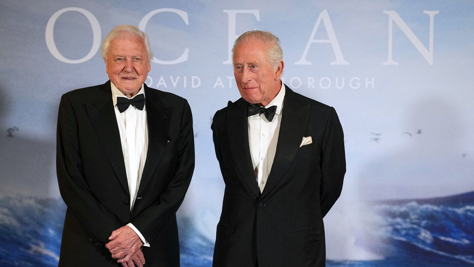 How to Age Gracefully: Learn from Bill Gates, the Who and David ...