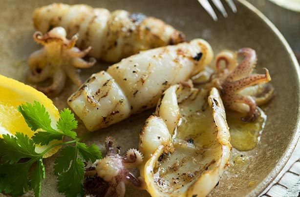 Griddled squid | Spanish Recipes | GoodtoKnow