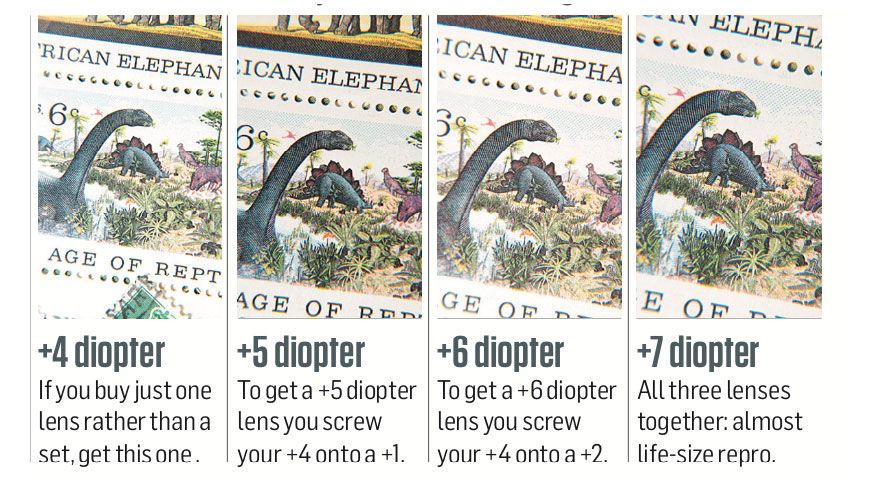 Best close-up filters | Digital Camera World