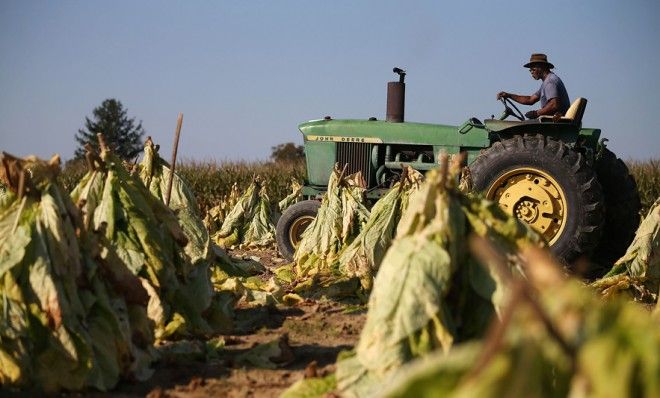 Farm subsidies: A welfare program for agribusiness | The Week