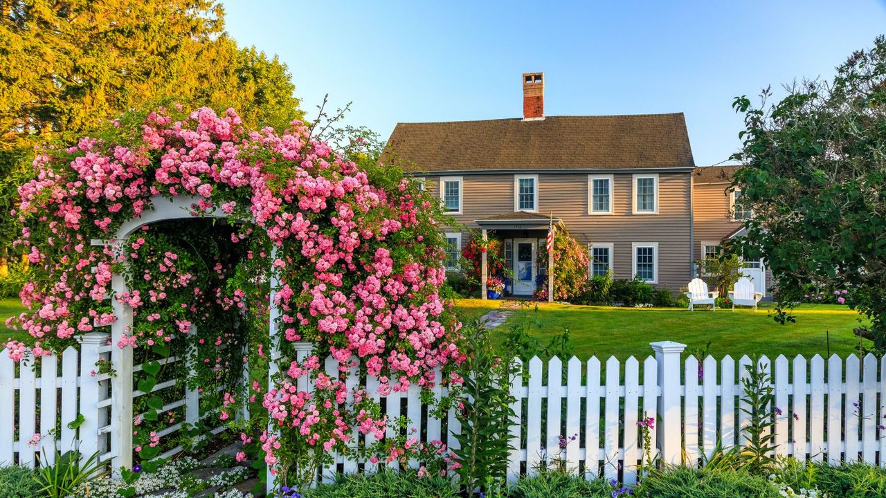 How to prune snapdragons: experts provide their top tips | Homes and ...