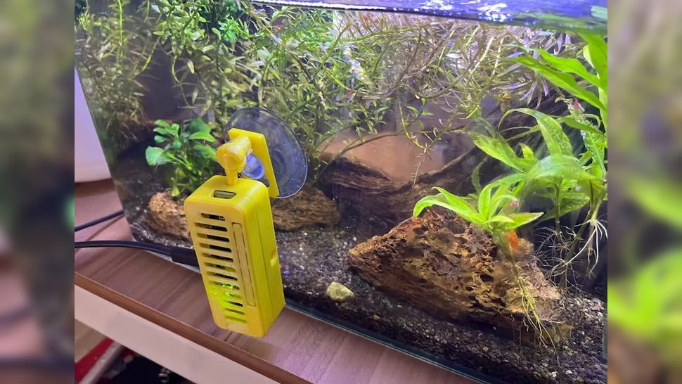 Feed your fish remotely with this Raspberry Pi-powered feeding system ...
