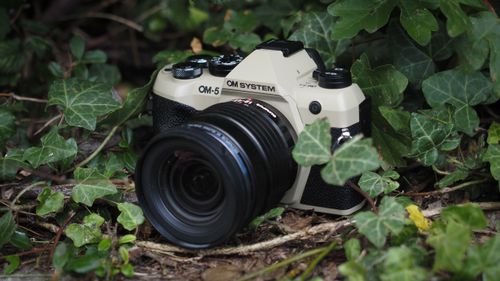 The best medium format camera | Digital Camera World