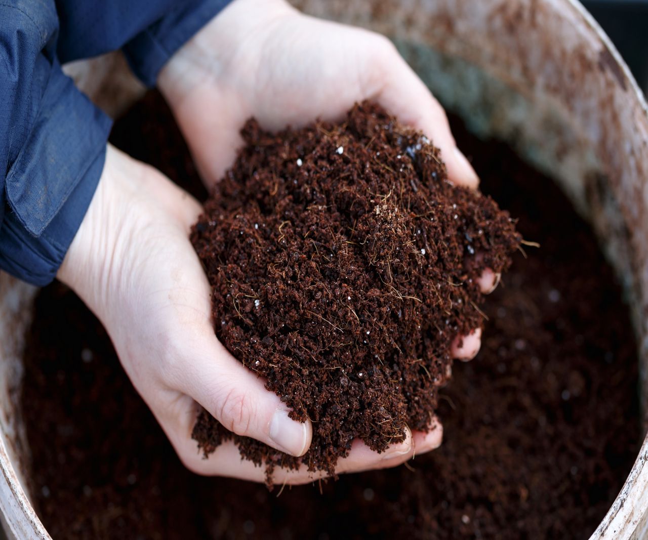 Peat-free compost options: how to make the right choice | Homes and Gardens
