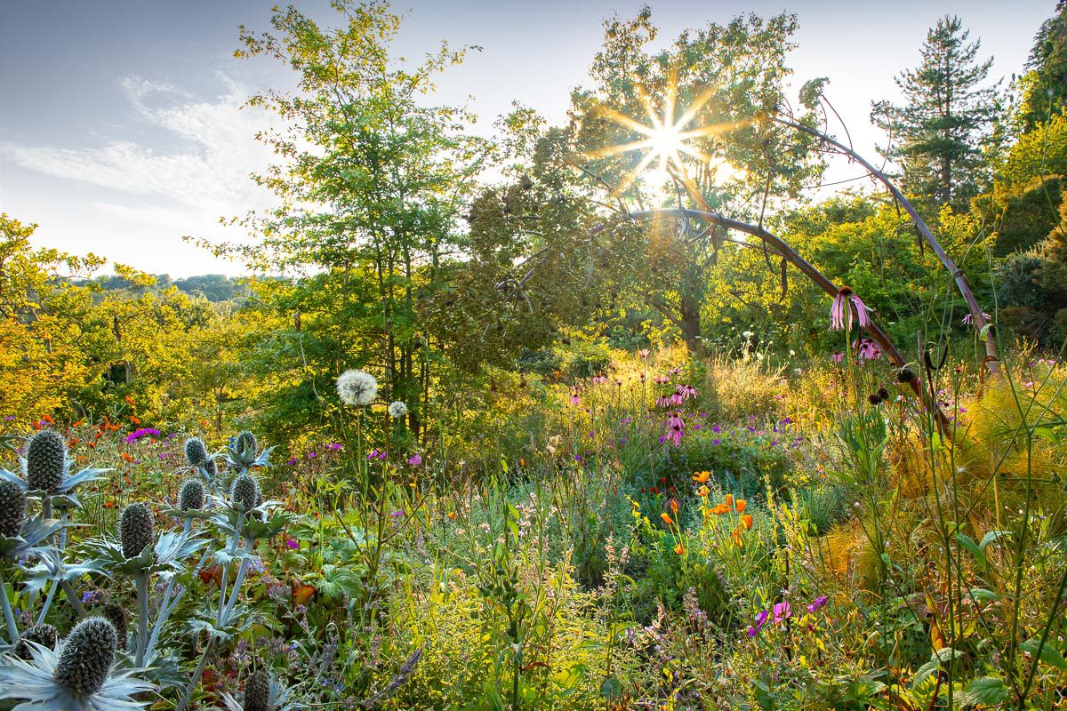 These beautiful winning spring and summer photos were shot with the ...