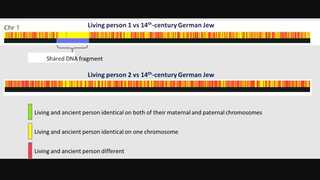 'You probably didn't inherit any DNA from Charlemagne': What it means ...