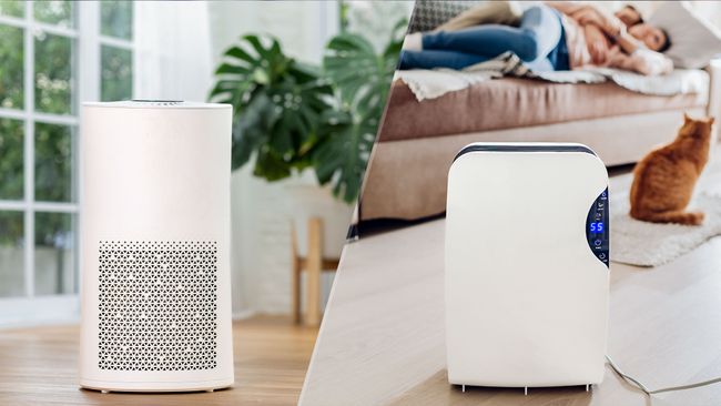 Air purifier vs. humidifier: Which should you buy? | Tom's Guide