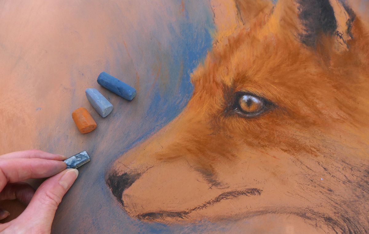 How to draw a fox using pastels | Creative Bloq
