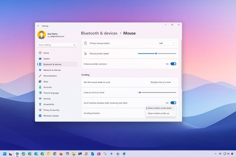 How to enable reverse mouse and touchpad scrolling on Windows 11 ...