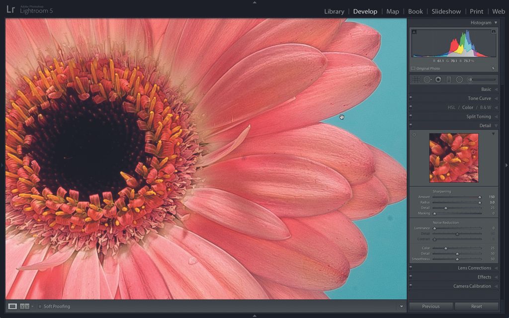 How to sharpen images like a pro using Lightroom | Digital Camera World