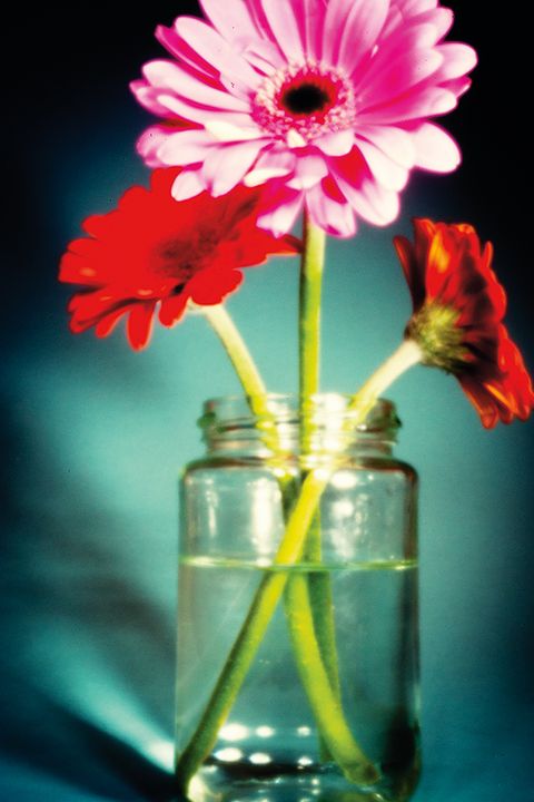 Pinhole photography: make your own pinhole camera using a body cap ...