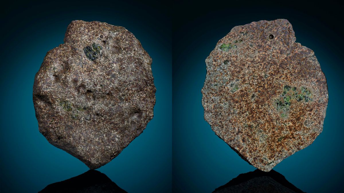 4.6-billion-year-old meteorite belongs to Earth’s long-lost baby cousin ...