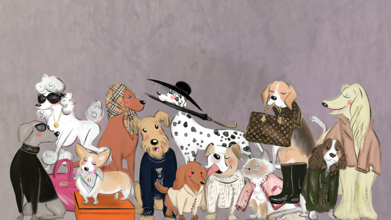 9 Top Dogs at home in Livingetc | Ideal Home