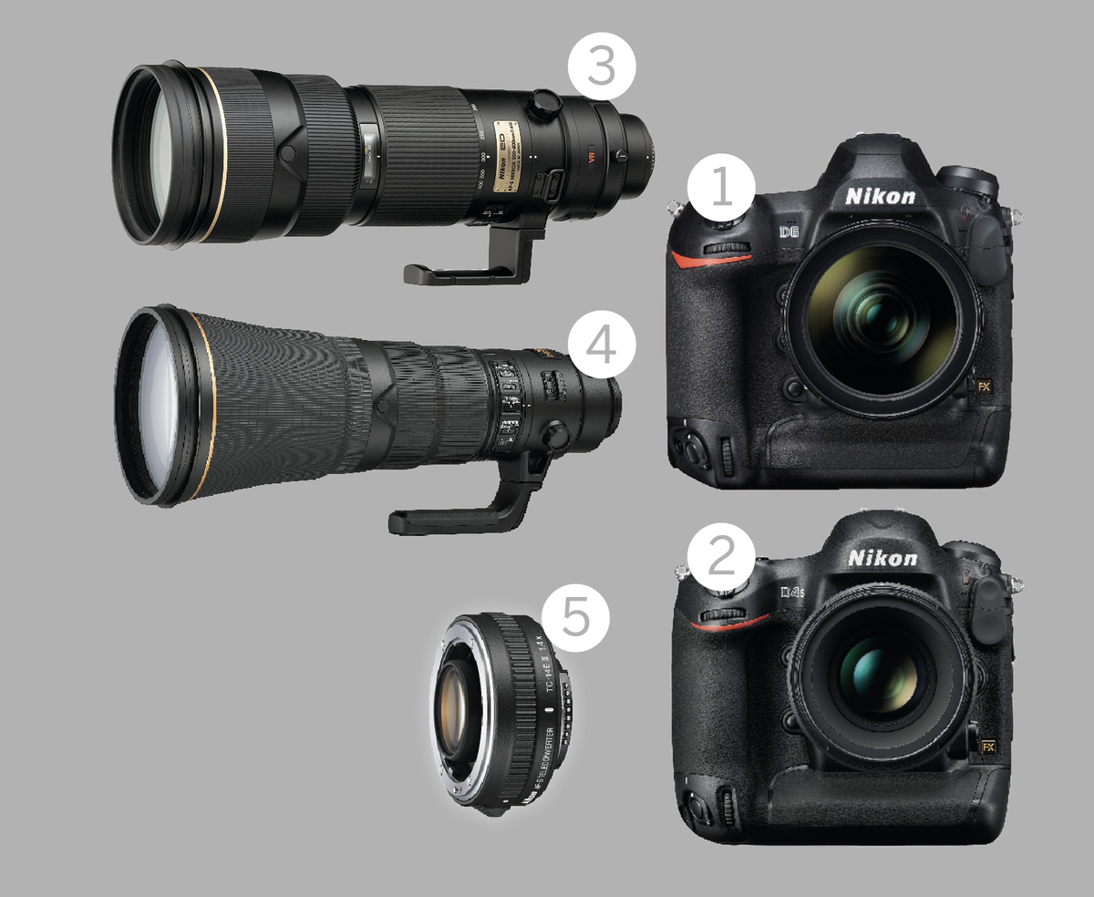 How to capture stunning winter wildlife – Part 1: gear essentials ...