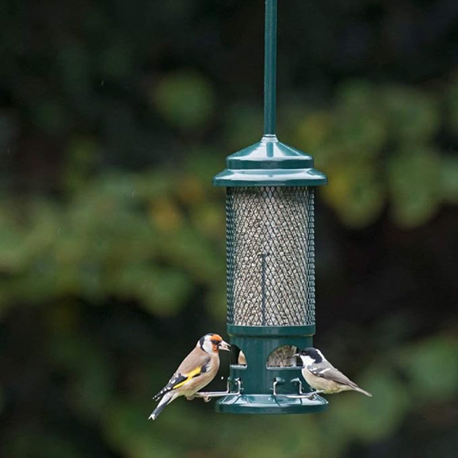 How to protect your bird feeder from rats and squirrels | Ideal Home