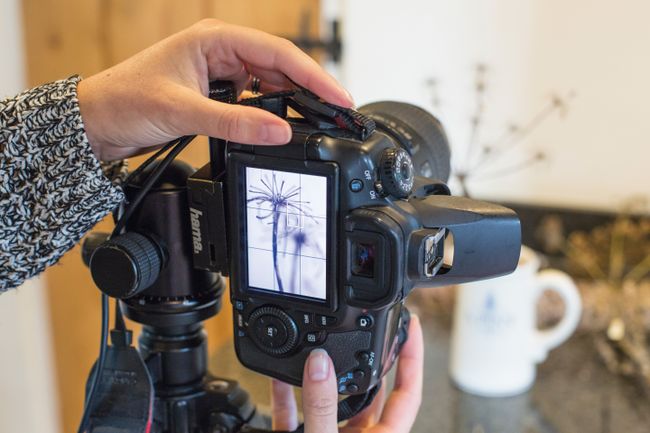 Home photography ideas: How to shoot a triptych worthy of your wall ...
