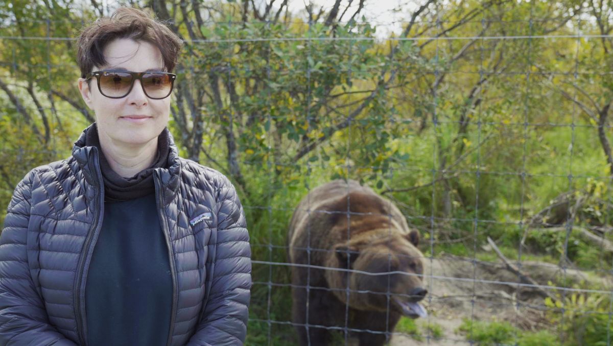 Sue Perkins: Lost in Alaska: release date and all we know | What to Watch