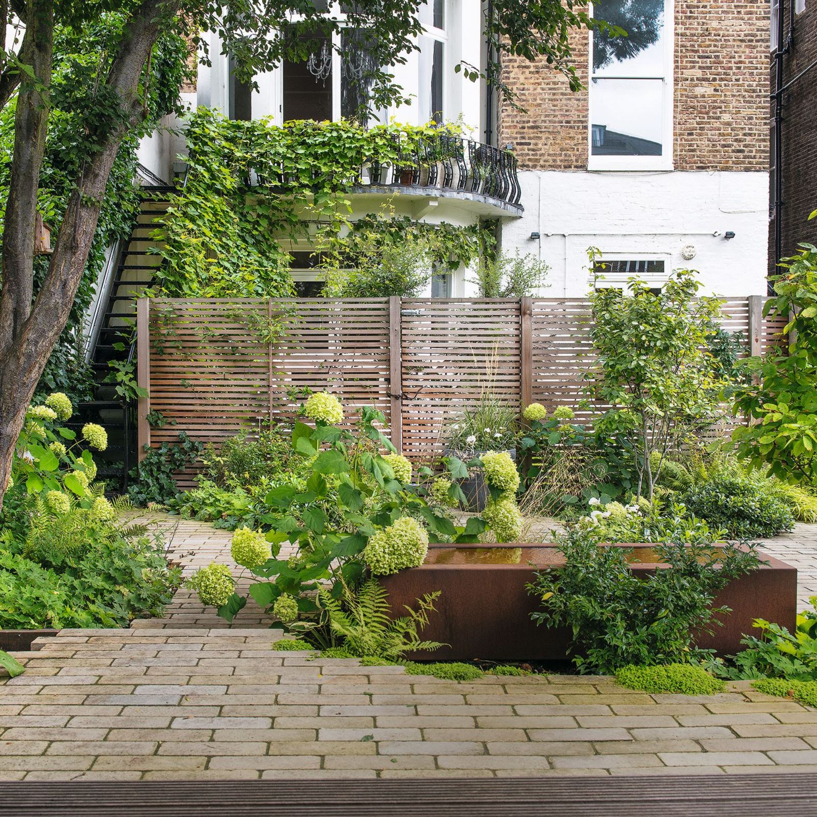 How to prune hydrangeas – tips for old and new wood bloomers | Ideal Home