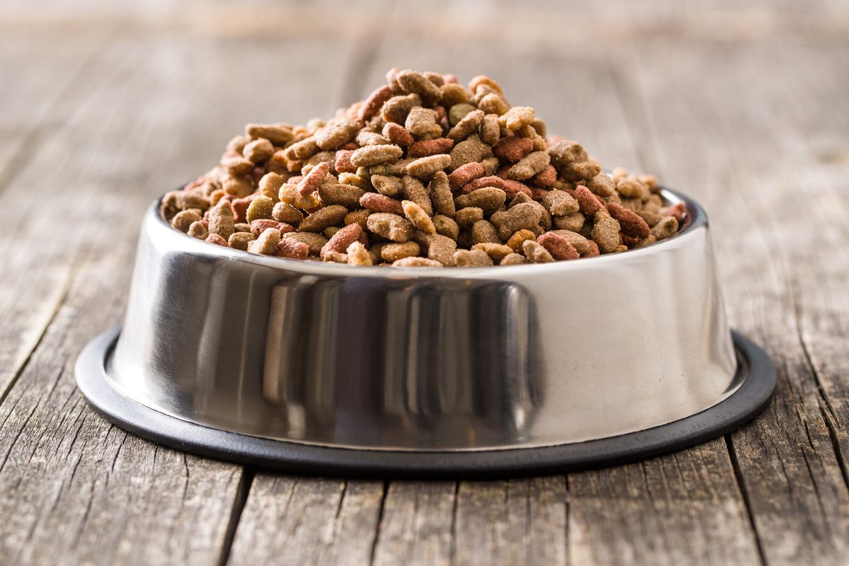 The Week contest: Eat kibble | The Week