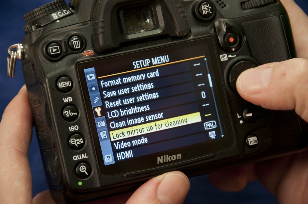 Cleaning a camera sensor: tips for removing sensor spots and dust ...