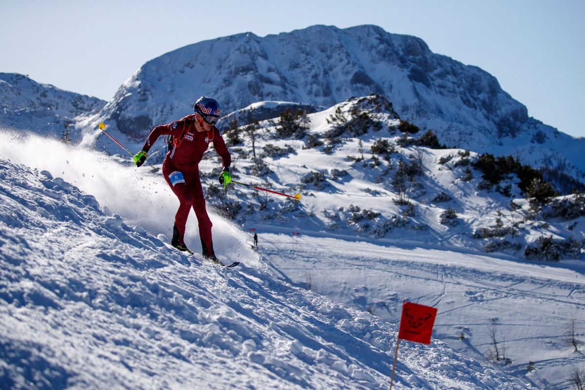 Leading skier and novice cyclist Anton Palzer to join Bora-Hansgrohe ...