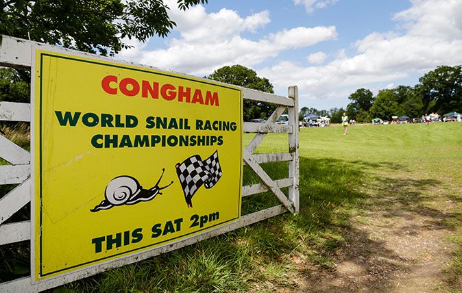 Ready, steady, SLOW! The wonderfully eccentric (and very British) world ...