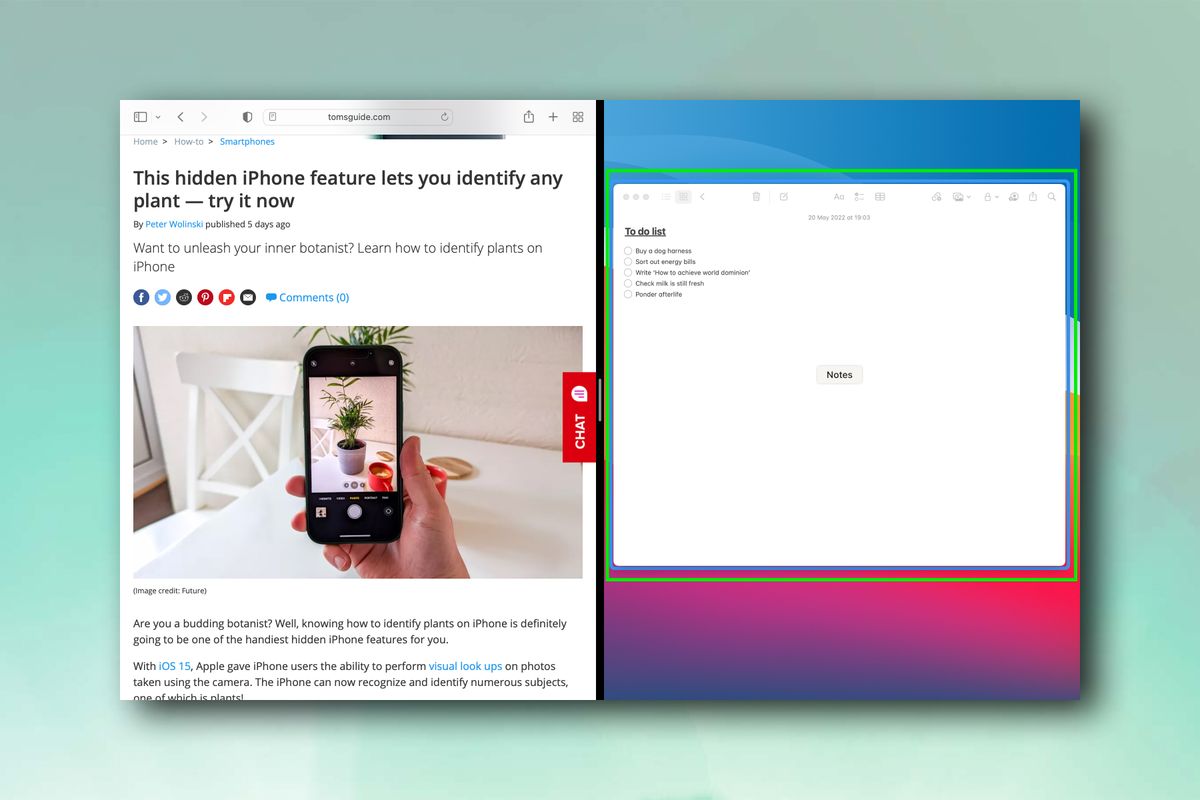 How to split your screen on Mac | Tom's Guide
