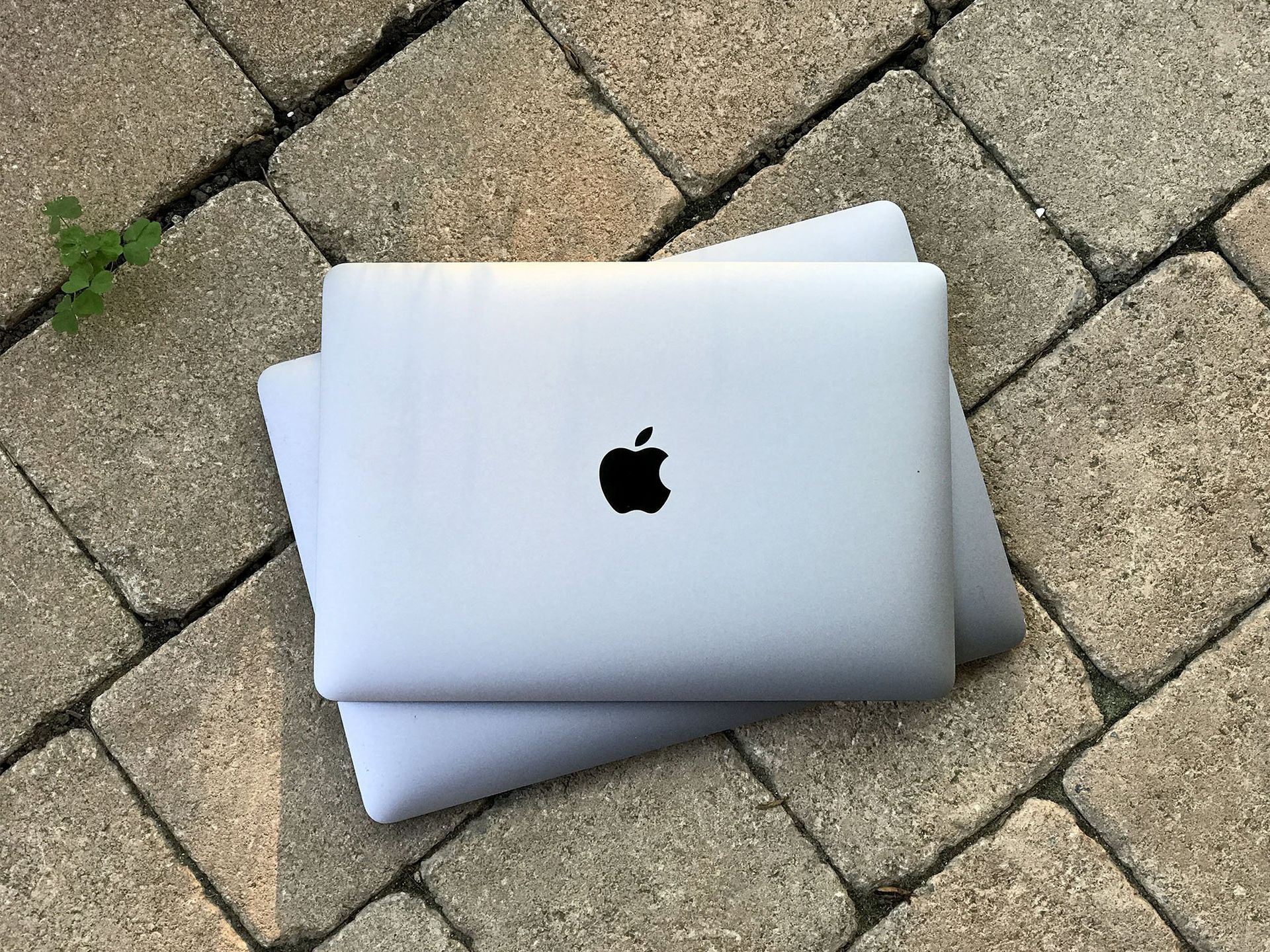 Stand Out at Starbucks with these 15 MacBook Stickers | iMore