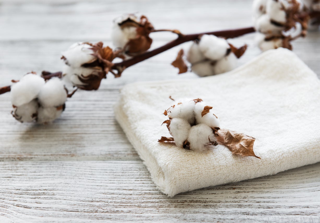 Plants Used For Clothing Information On Growing Plants For Making Plants Used For Clothing Information On Growing Plants For Making