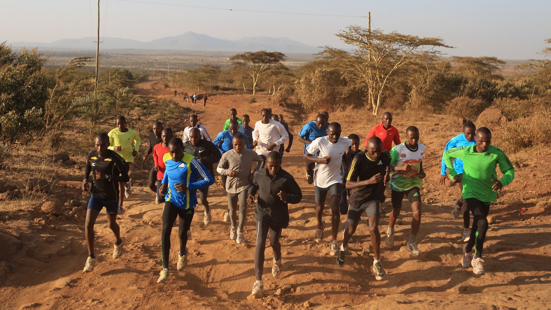 Research reveals that East Africans are fastest runners in 50k ultras ...