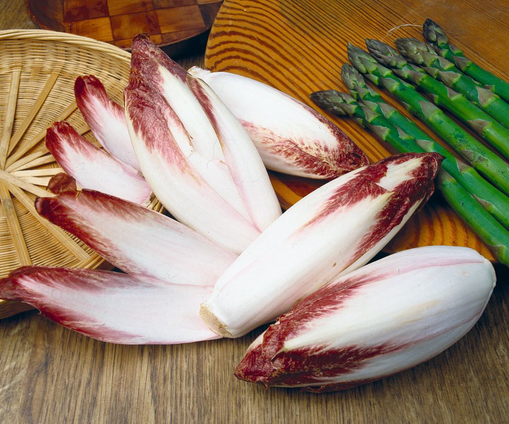 How to grow chicory - an expert guide to great harvests | Homes and Gardens