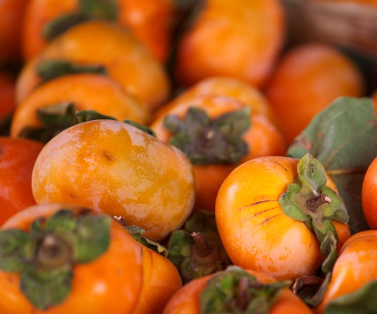 Using persimmon seeds to predict winter weather: folklore explained ...