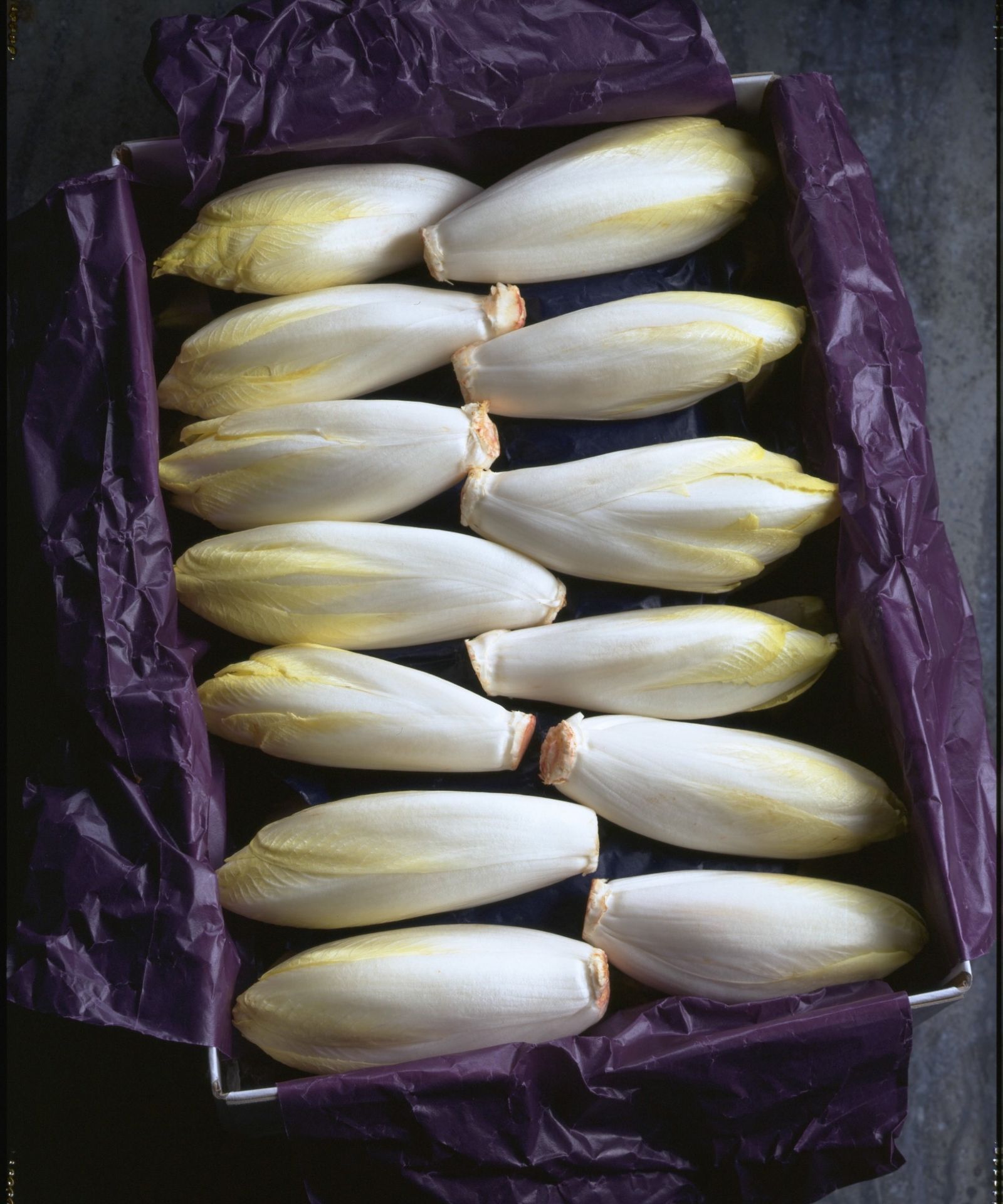 How to grow chicory - an expert guide to great harvests | Homes and Gardens