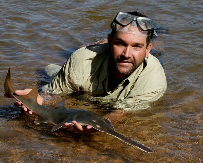 Photos of the Largest Fish on Earth | Live Science