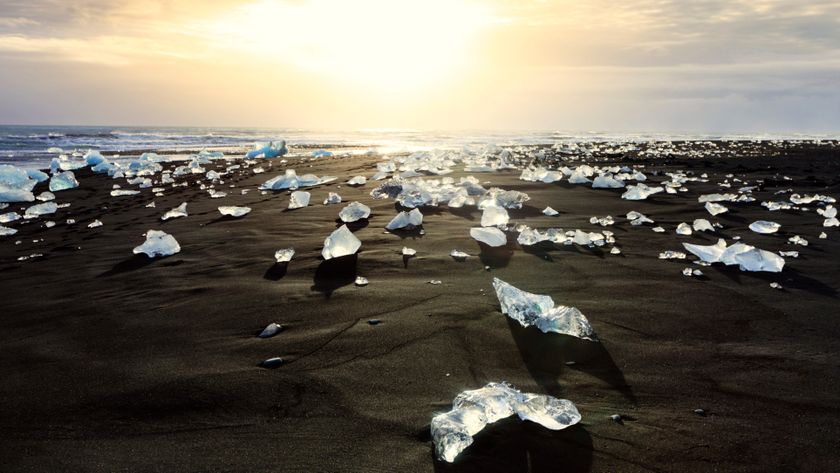 Articles by Sascha Pare, Trainee staff writer | Live Science